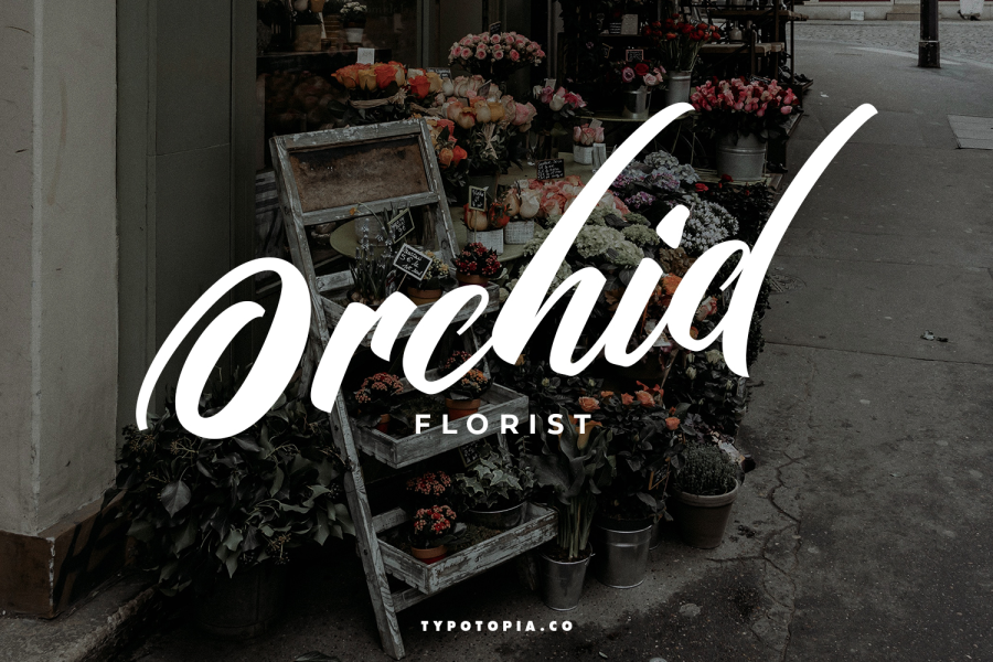 Artline Font · 1001 Fonts