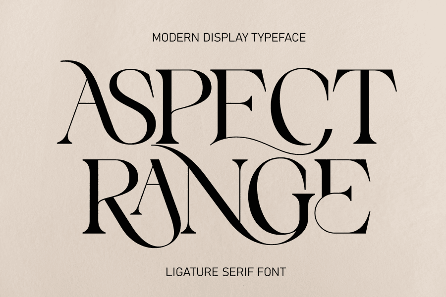 ASPECT RANGE DEMO Font · 1001 Fonts