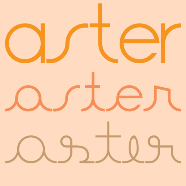 Aster Font Family · 1001 Fonts