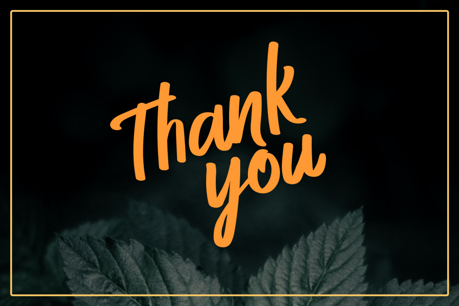 August Font · 1001 Fonts