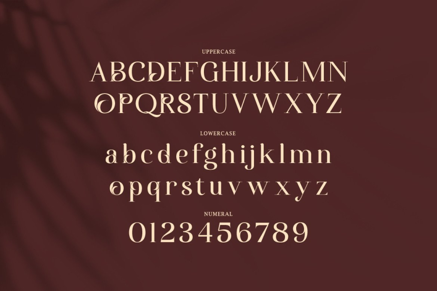 11 Free Spur Serif Fonts · 1001 Fonts