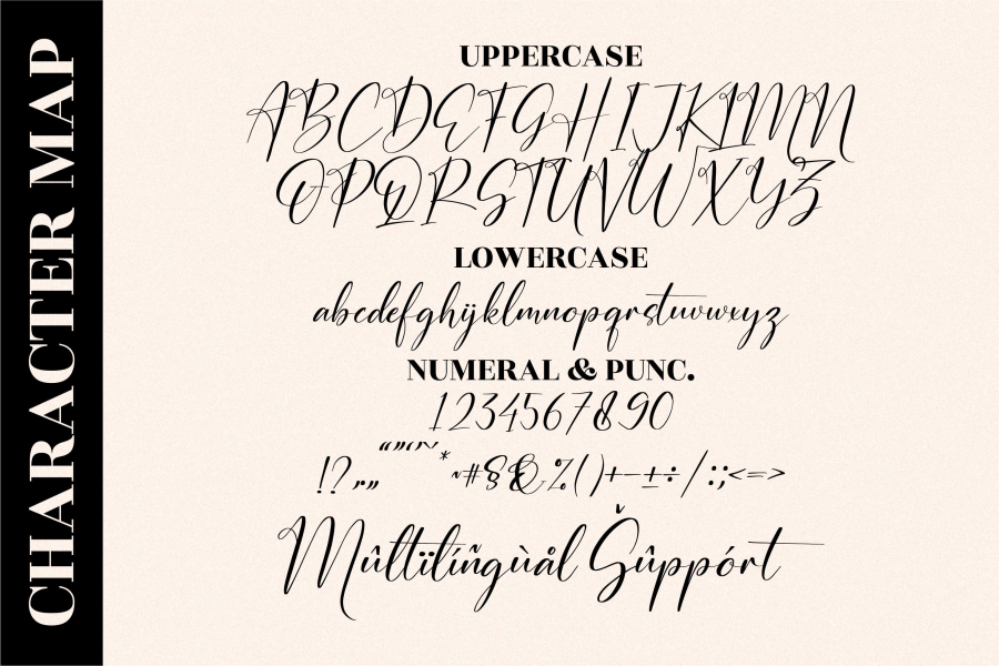 Auristtela Patricia Font Family · 1001 Fonts