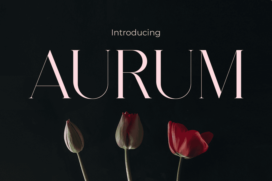 AURUM Font · 1001 Fonts
