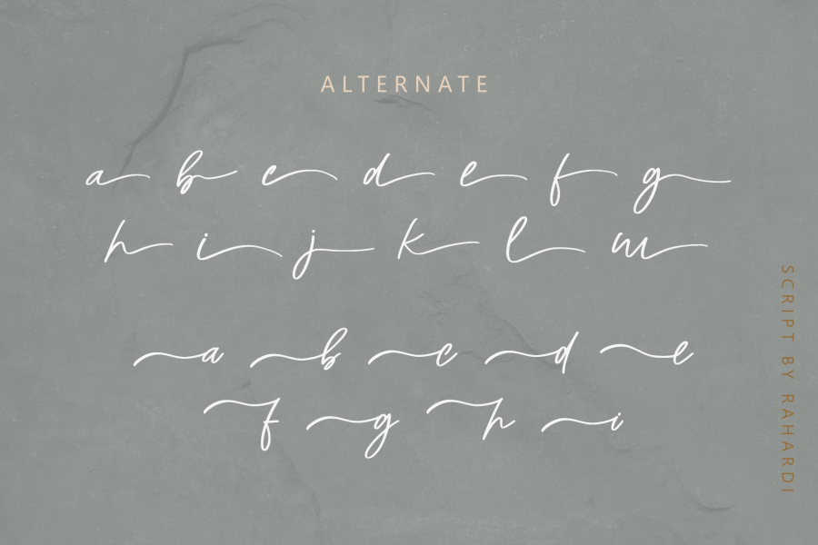 Austria Font Font Family · 1001 Fonts