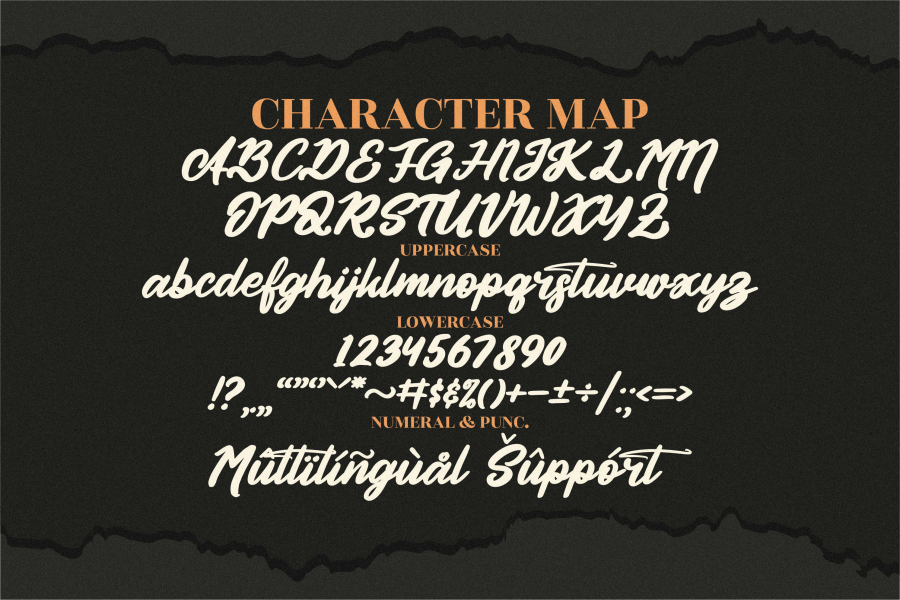 Authentic Calisttera Font Family · 1001 Fonts