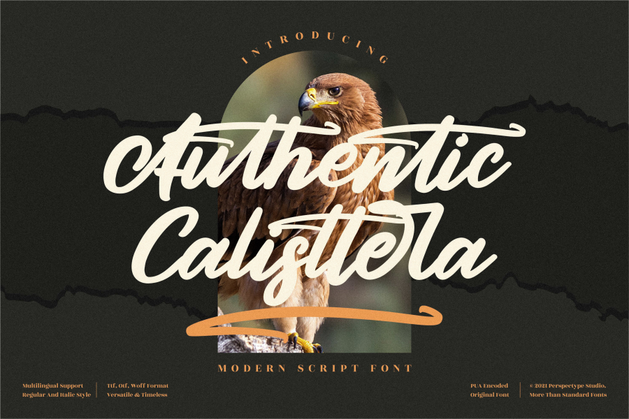 Authentic Calisttera Font Family · 1001 Fonts