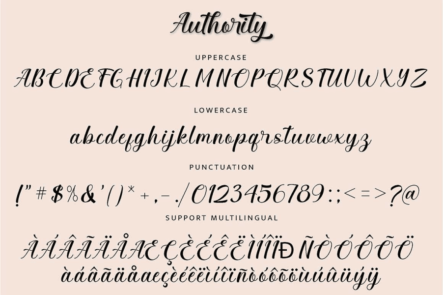 Authority Font · 1001 Fonts