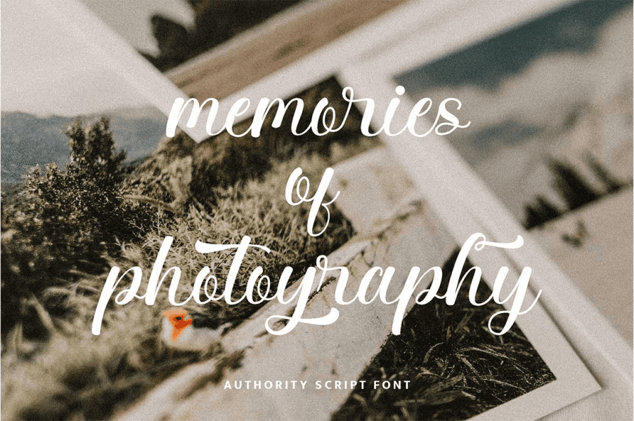 Authority Font · 1001 Fonts