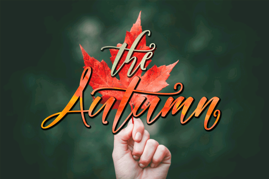 Autumn Font · 1001 Fonts