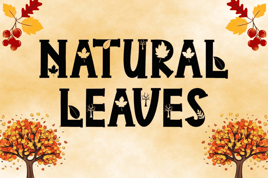 Autumn Scenery Font · 1001 Fonts