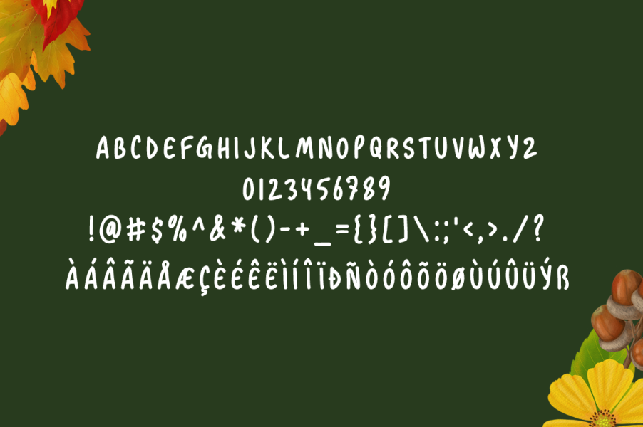 Autumn Season Font · 1001 Fonts