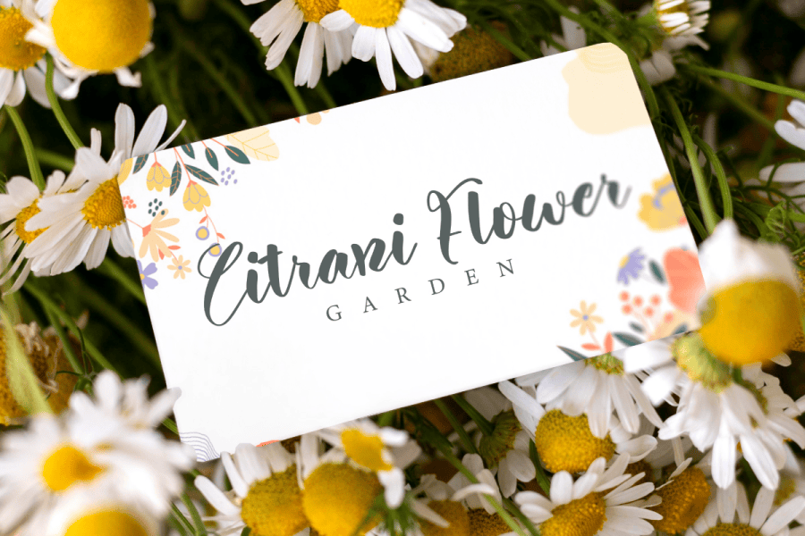 Awesome Daisy Demo Font · 1001 Fonts