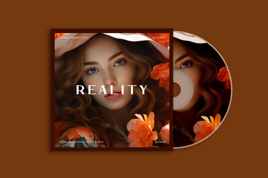 Bainley Font · 1001 Fonts