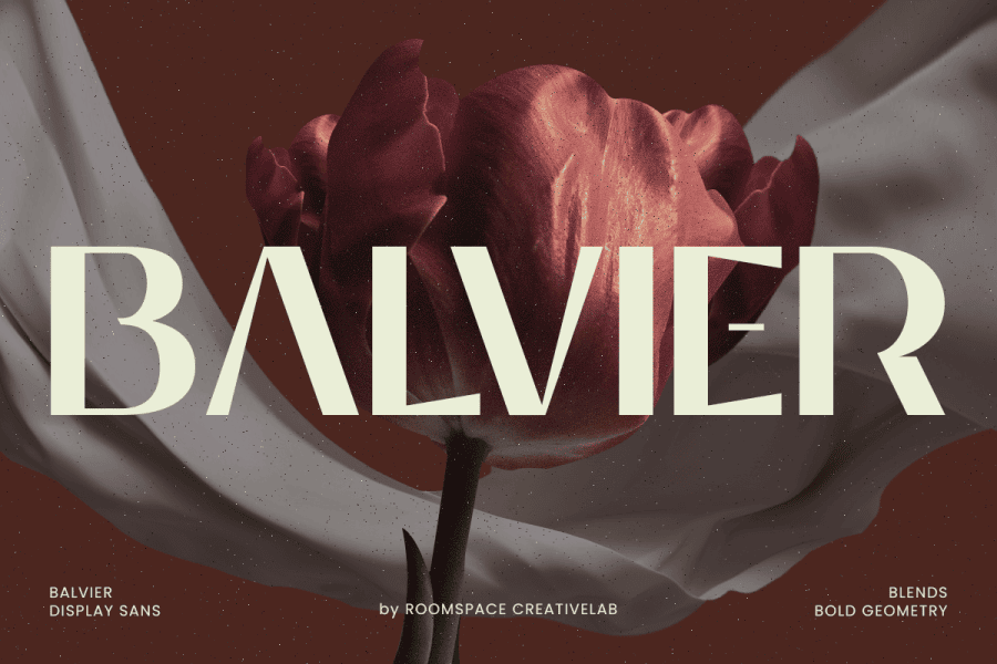 Balvier Font Family · 1001 Fonts