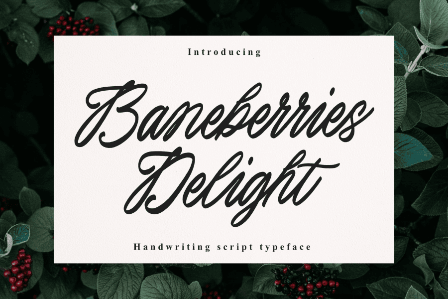 5 Free Mixed Case, Moderncalligraphy Fonts · 1001 Fonts