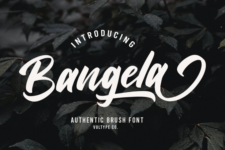 3 Free Cursive, Handlettering, Music Fonts · 1001 Fonts