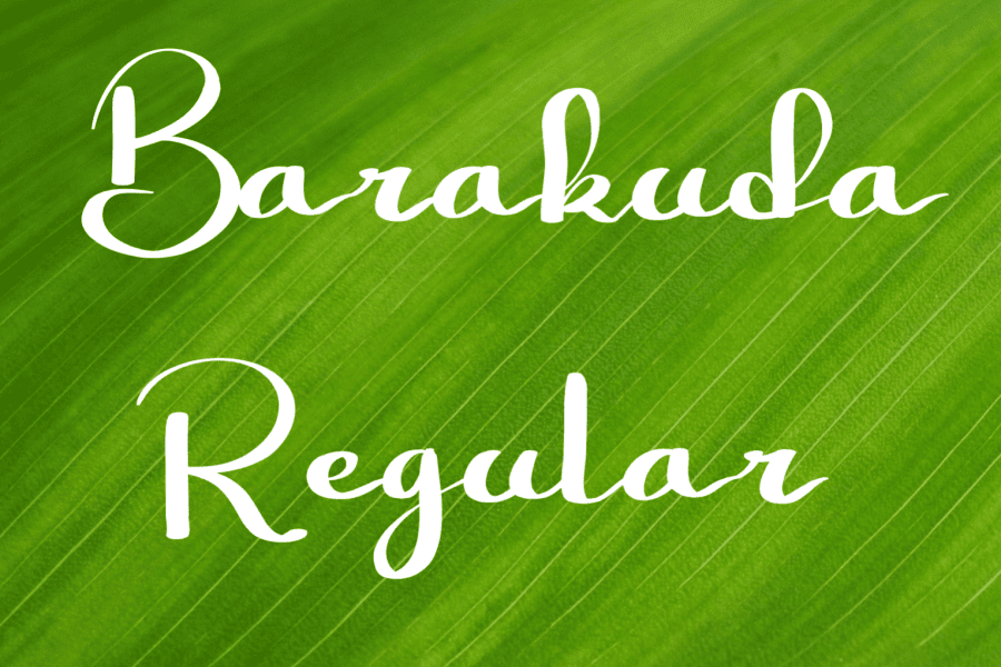 Barakuda Font · 1001 Fonts