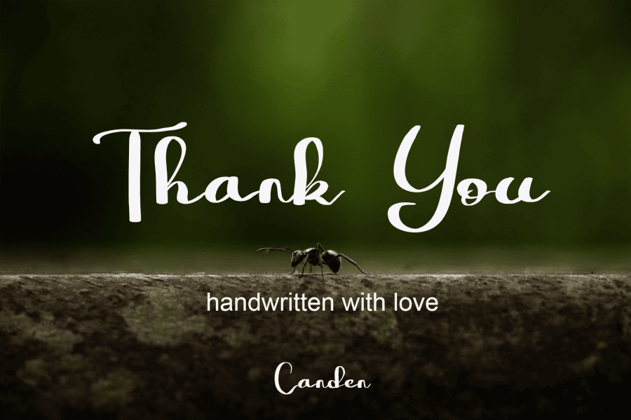 Barakuda Font · 1001 Fonts