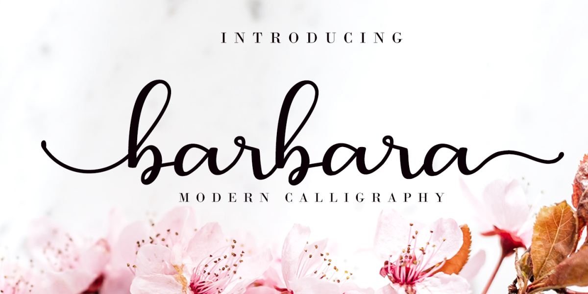 Barbara Calligraphy Font · 1001 Fonts