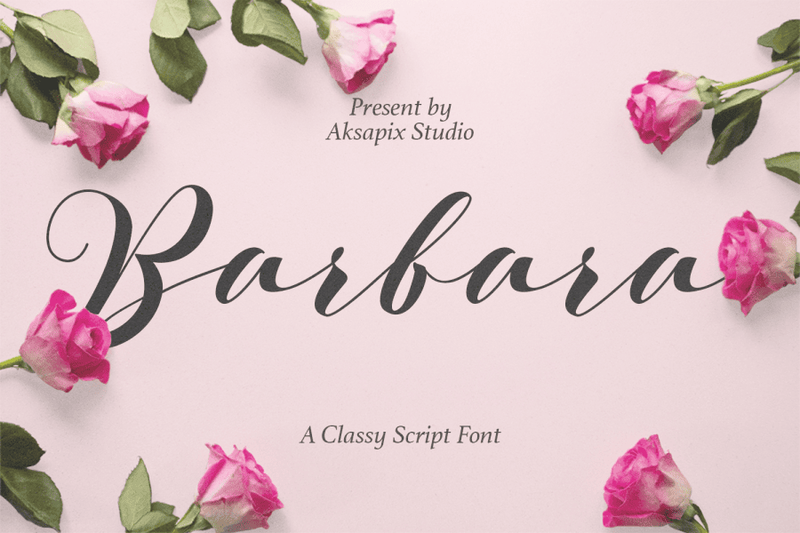 Barbara Font · 1001 Fonts
