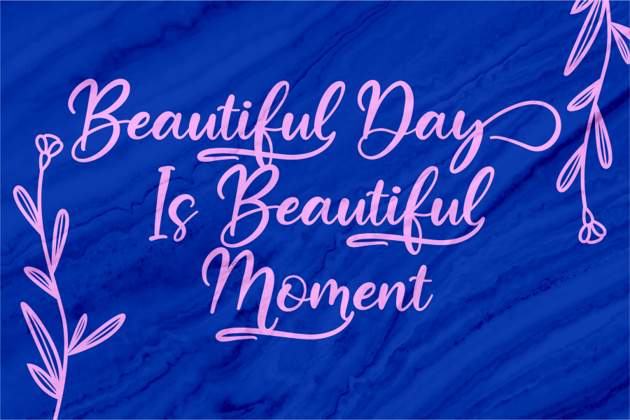 Barfield Lady Font Family · 1001 Fonts