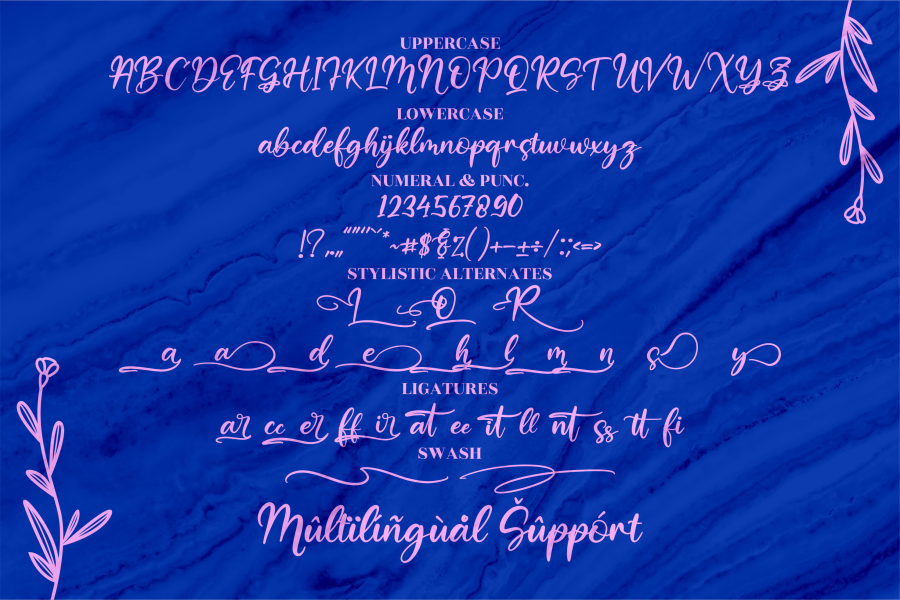 Barfield Lady Font Family · 1001 Fonts