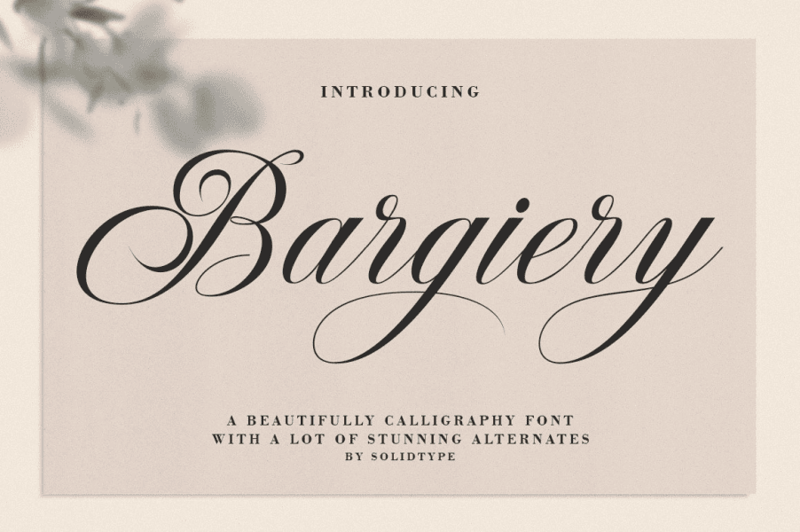 Bargiery Font · 1001 Fonts