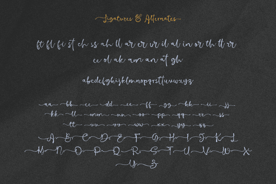 Barona Script Font · 1001 Fonts