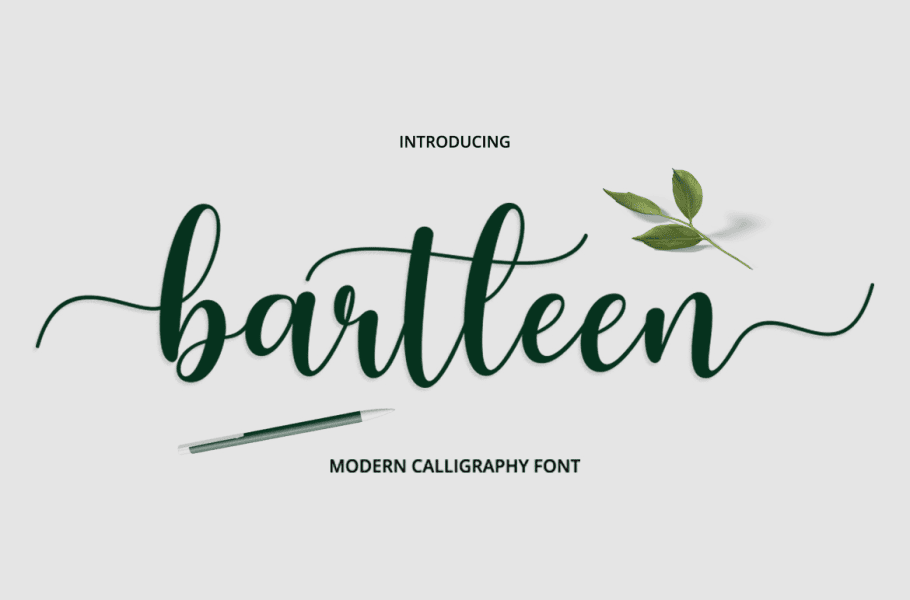 Bartleen Script Font · 1001 Fonts