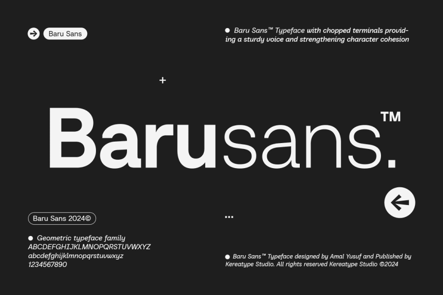 Baru Sans Demo Font Family · 1001 Fonts