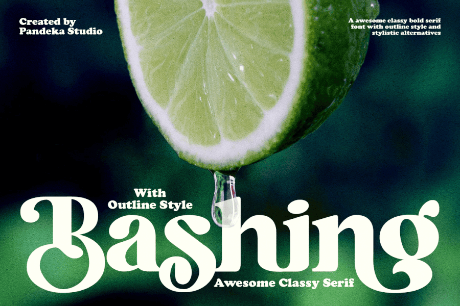 Bashing DEMO Font · 1001 Fonts