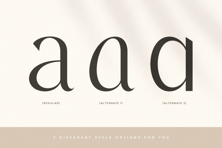 Basically Font · 1001 Fonts