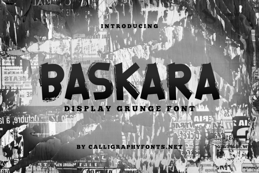 Baskara Demo Font · 1001 Fonts