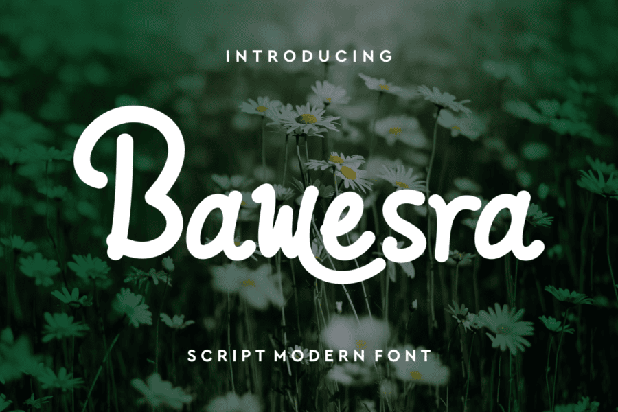 Bawesra Font Font · 1001 Fonts