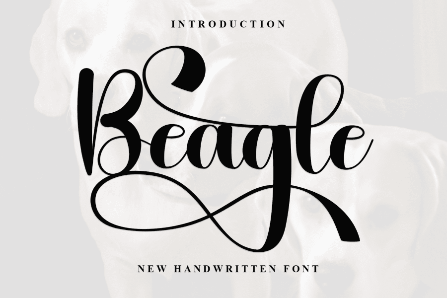 Beagle Font · 1001 Fonts