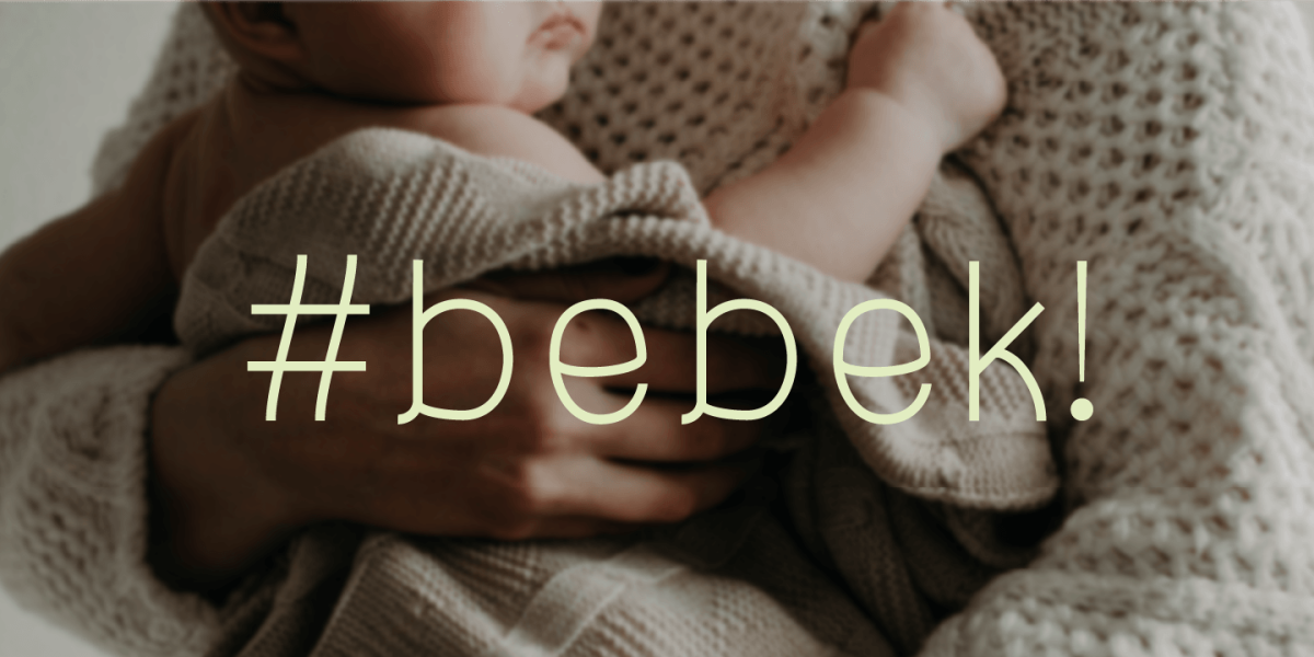 Bebek Font Family · 1001 Fonts