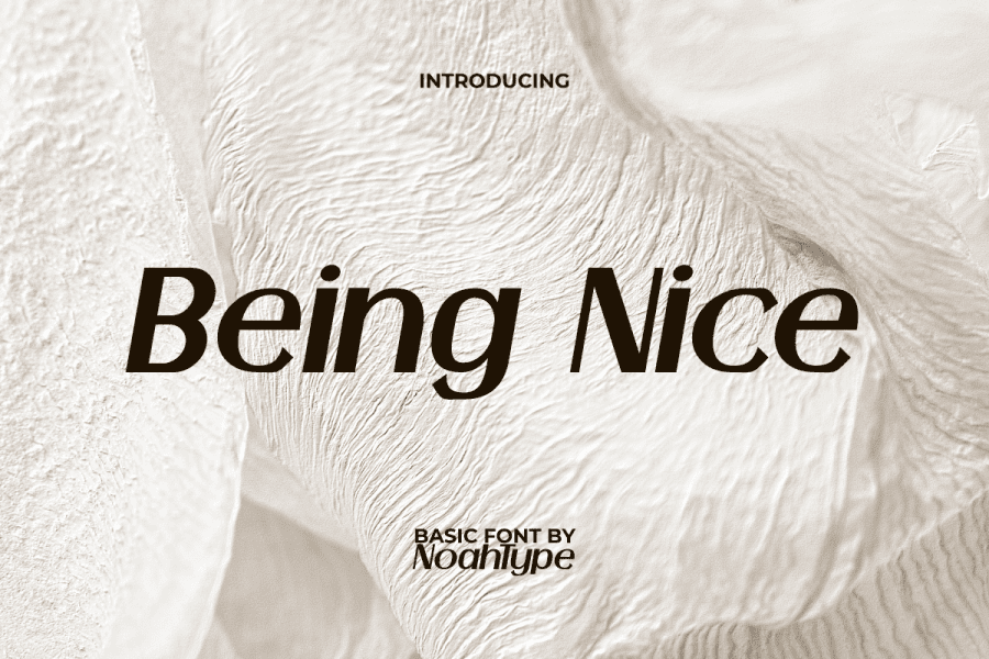 BeingNiceDemo Font · 1001 Fonts