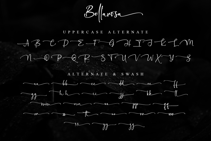 Bellarosa - Personal use Font · 1001 Fonts