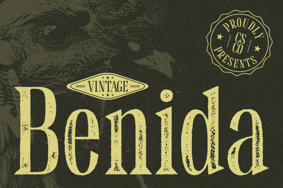 Benida Vintage Demo Font · 1001 Fonts