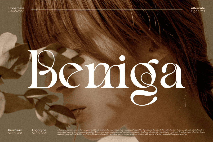 Beniga Font · 1001 Fonts