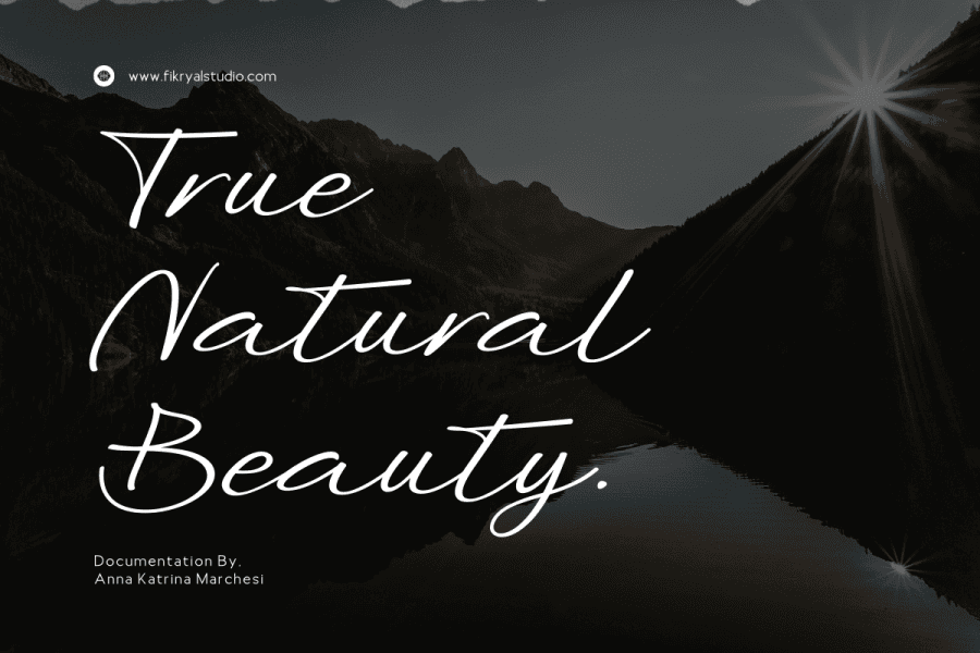 Benjamin Signature Font Family · 1001 Fonts