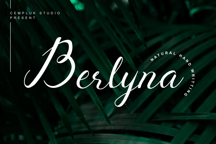 Berlyna Demo Font · 1001 Fonts
