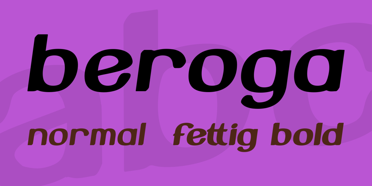 Beroga Font Family · 1001 Fonts