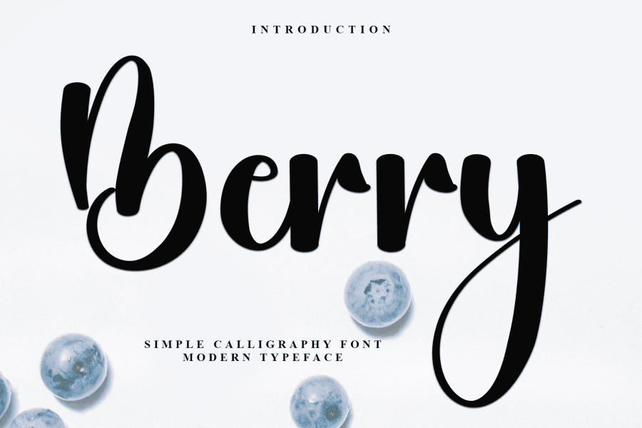 Berry Font · 1001 Fonts