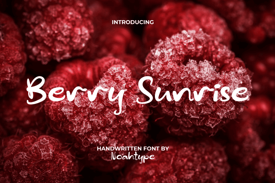 3 Free Berry Fonts · 1001 Fonts