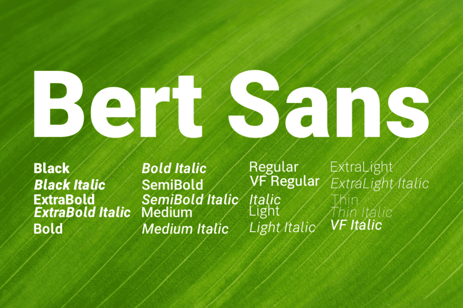 Bert Sans Font Family · 1001 Fonts