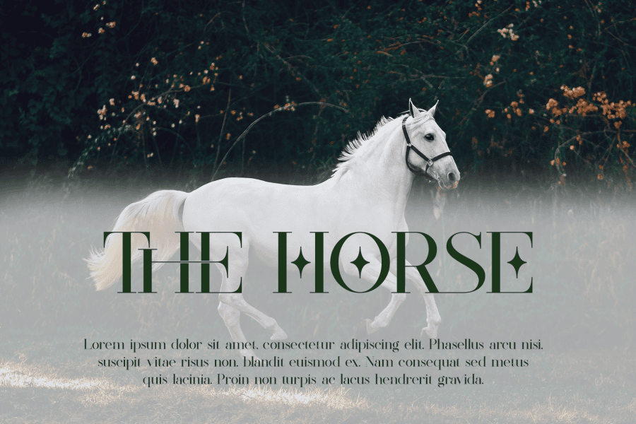 Bethia Font · 1001 Fonts