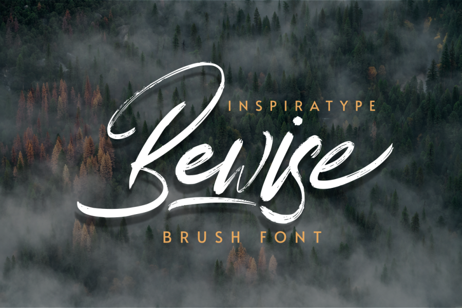 Bewise Font · 1001 Fonts