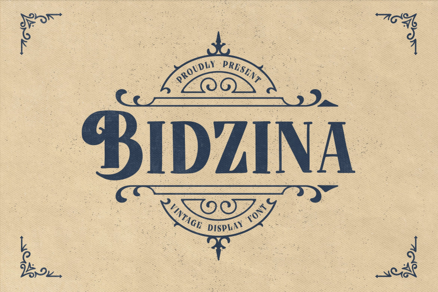 Bidzina Font · 1001 Fonts