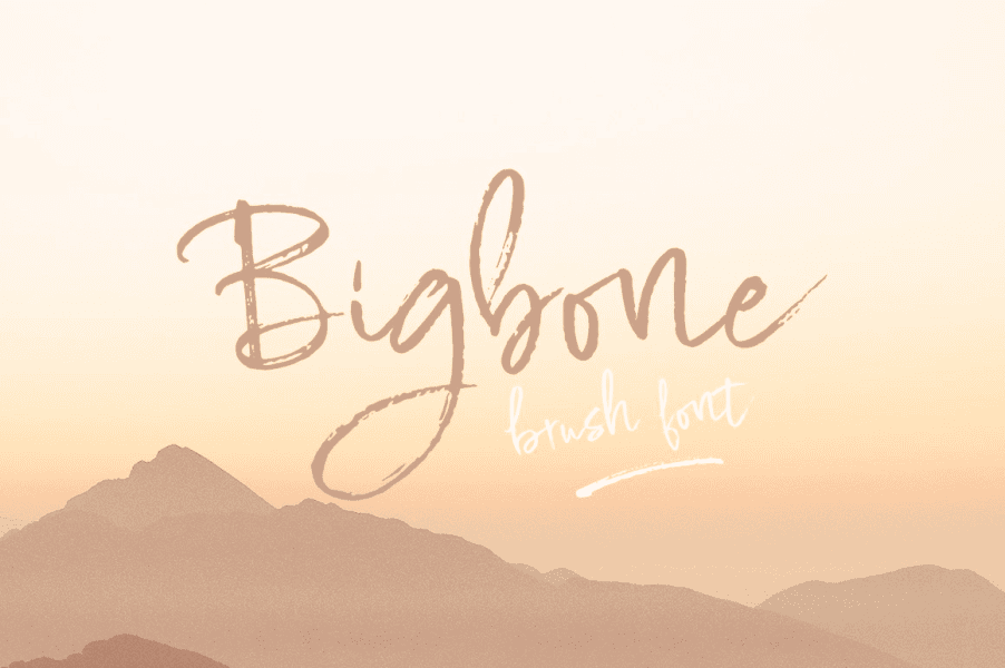 Bigbone Font Family · 1001 Fonts